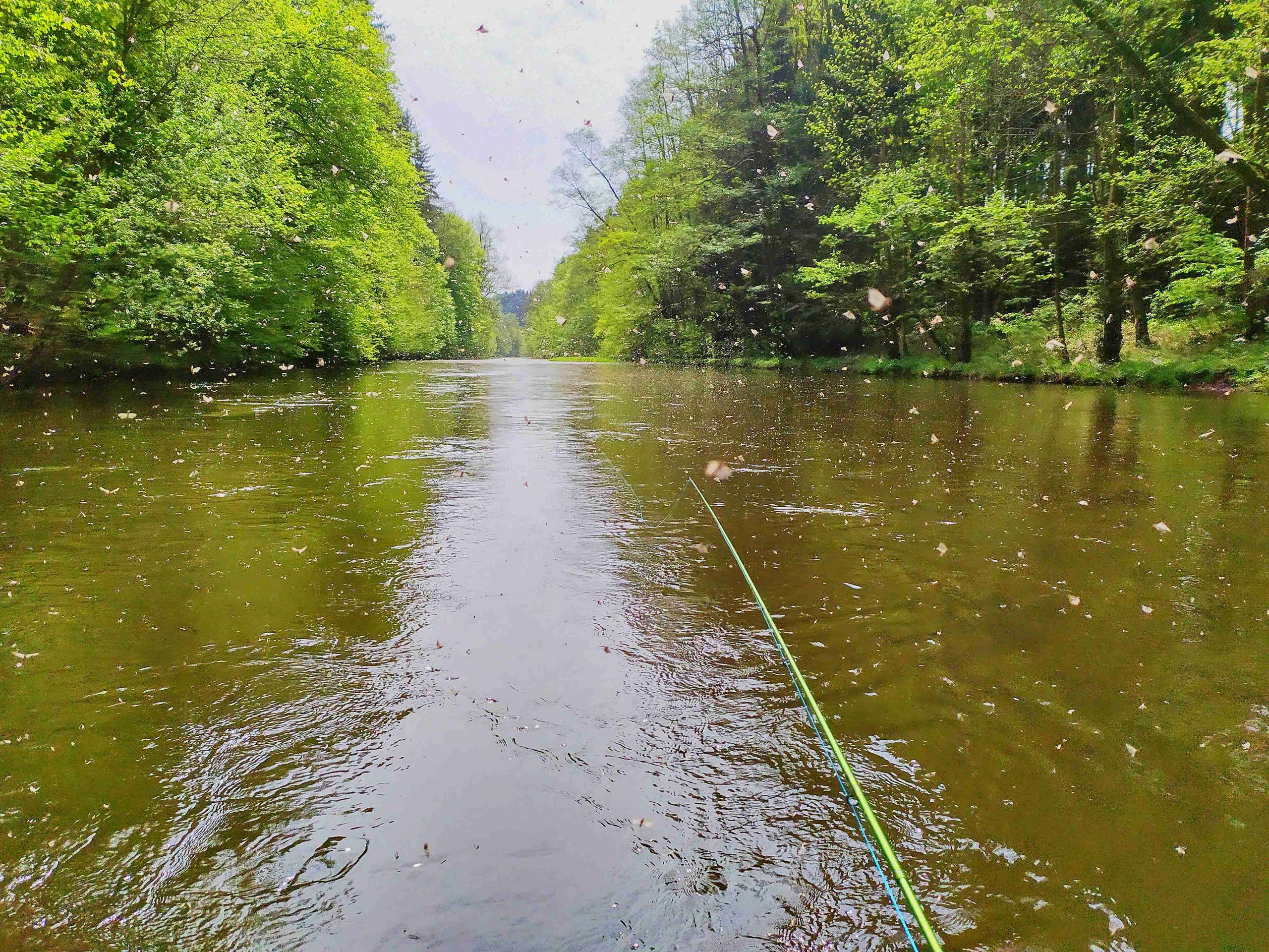 Články o muškaření - ovládněte královnu rybolovu - Aktivní - rybolov.cz