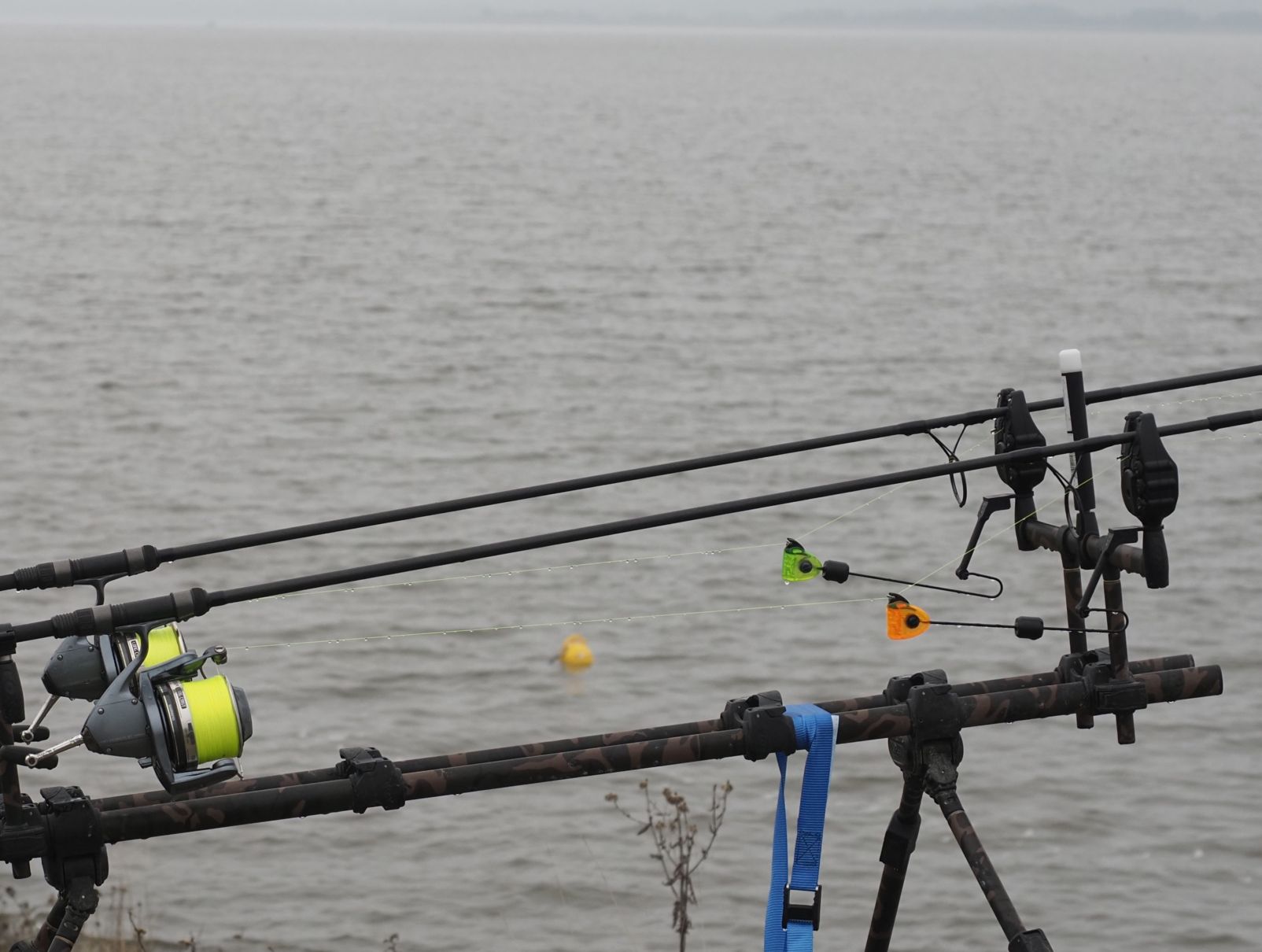 Začíná World Carp Classic 2025, obhájí čeští kapraři loňský titul ...